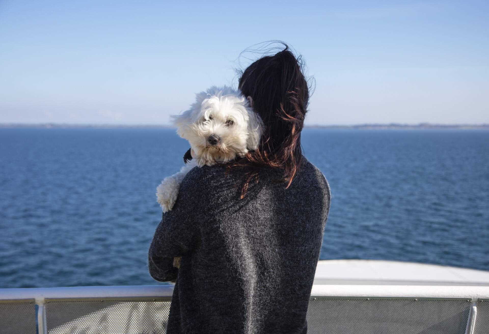 Färjelinjer du måste åka för en härlig resa ut i världen | momondo