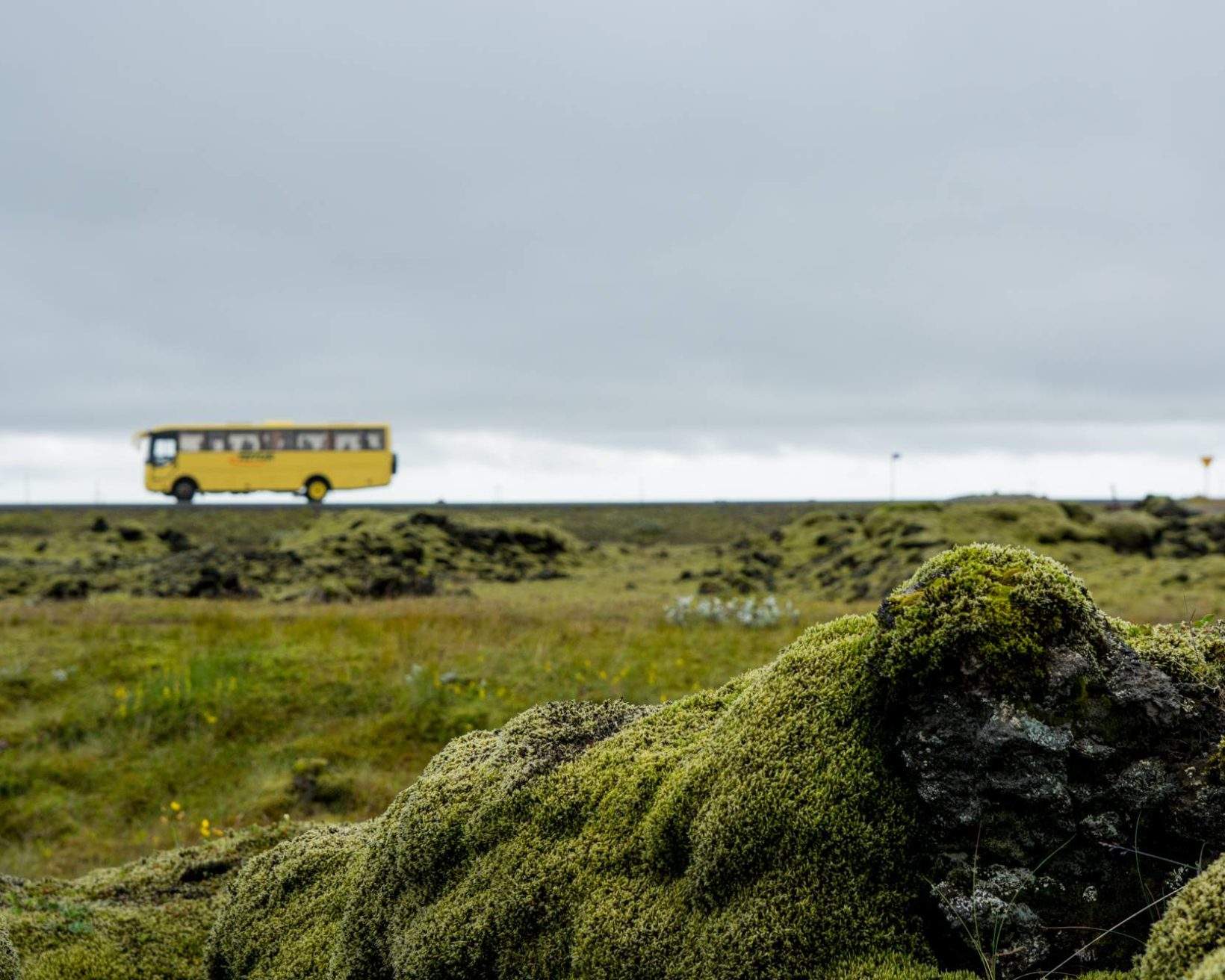 9 Upplevelser du inte får missa under din resa till Island | momondo