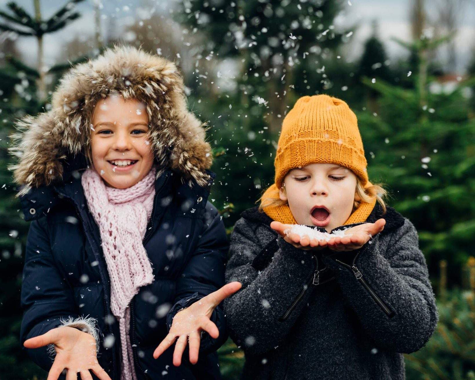 Vinter i Sverige: 11 saker att göra i vinter | momondo