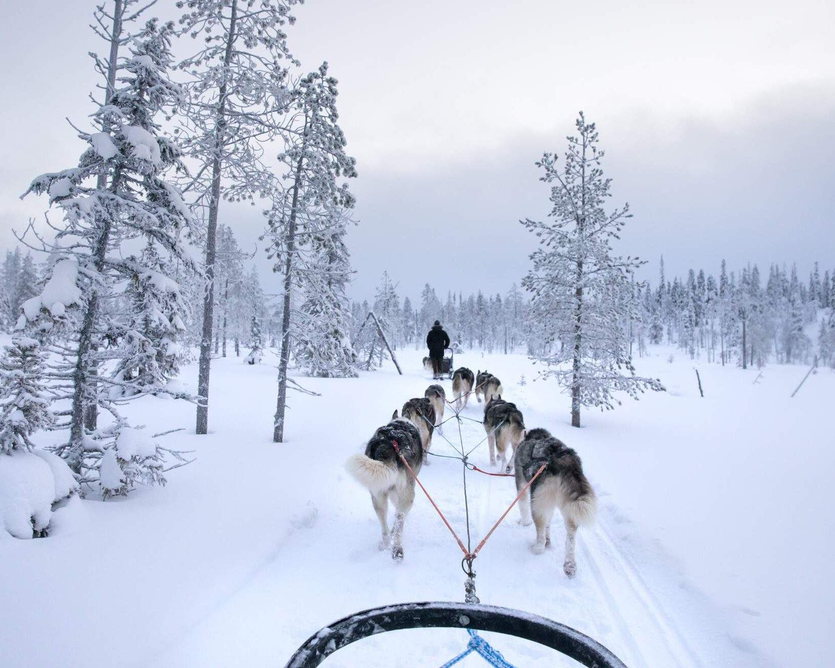 Mat i Norge – En resa bland smaker från havet | momondo