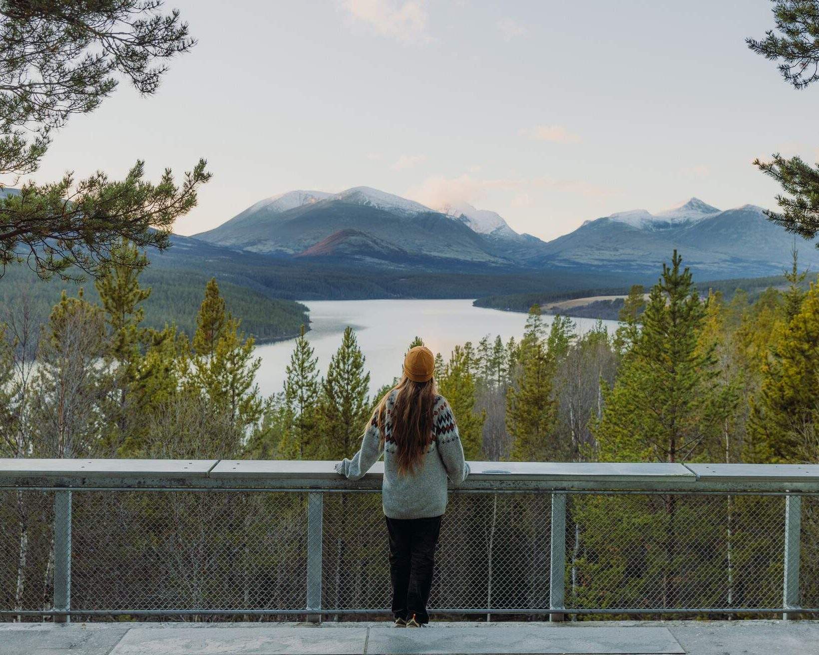 Mat i Norge – En resa bland smaker från havet | momondo