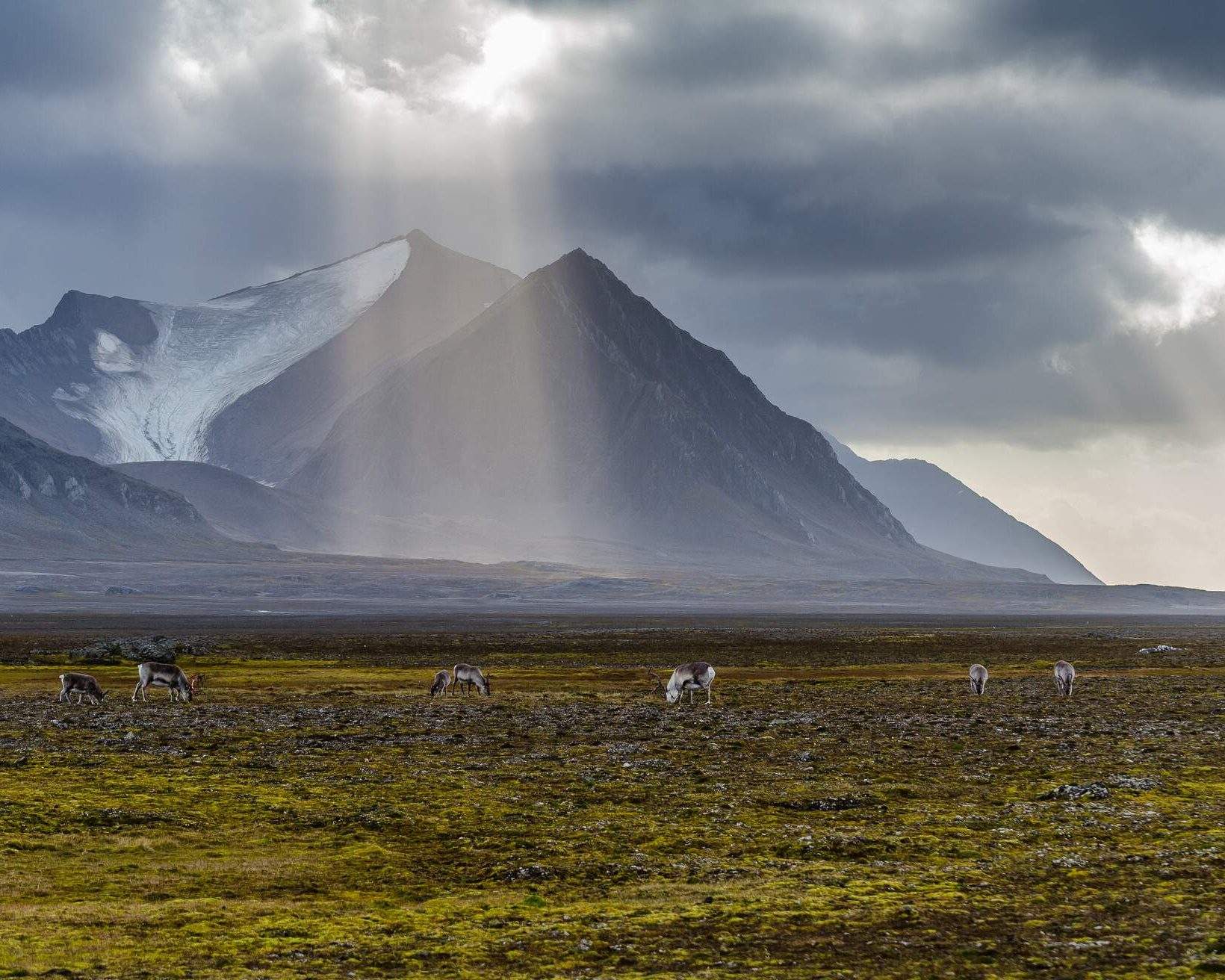 Norsk mat: Smaker från hav och land | momondo