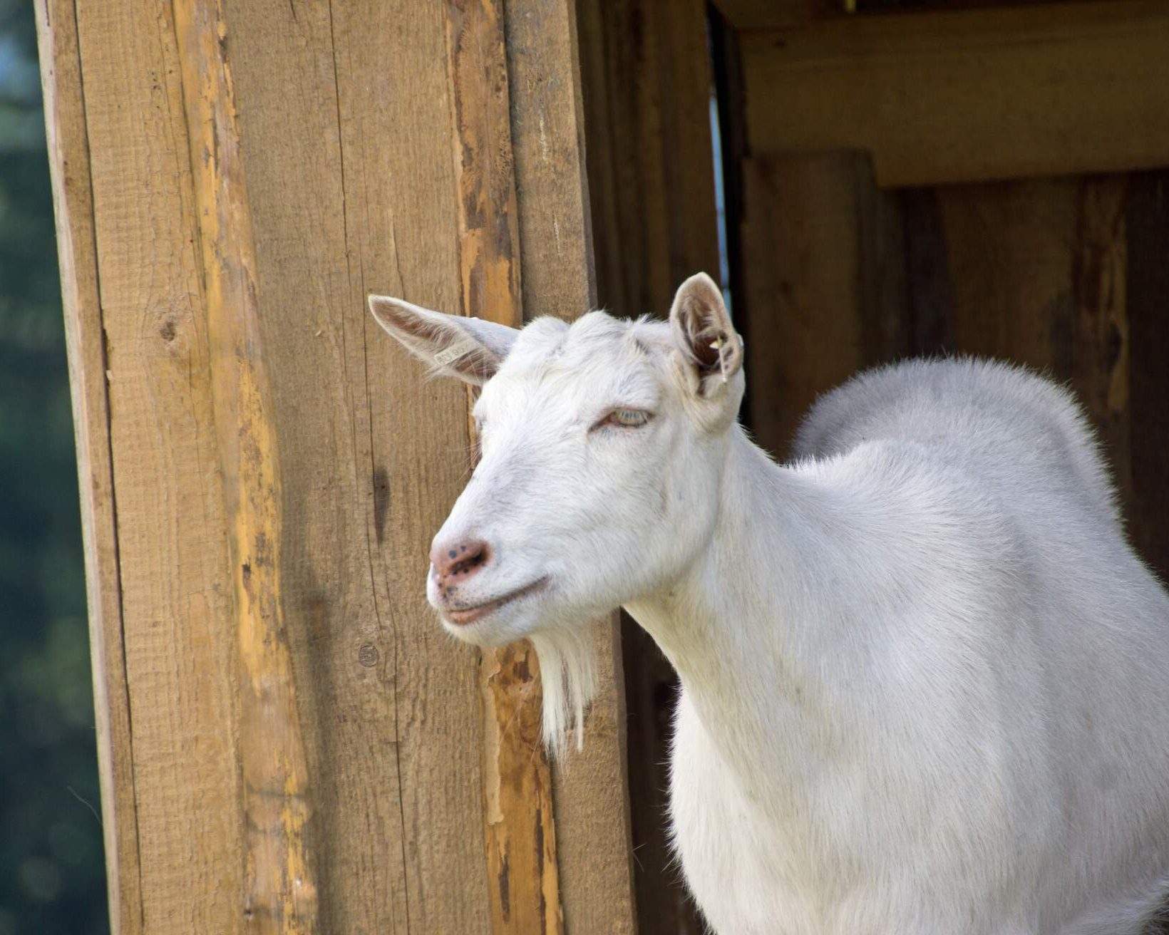Upptäck alla spännande saker att göra i Manchester | momondo