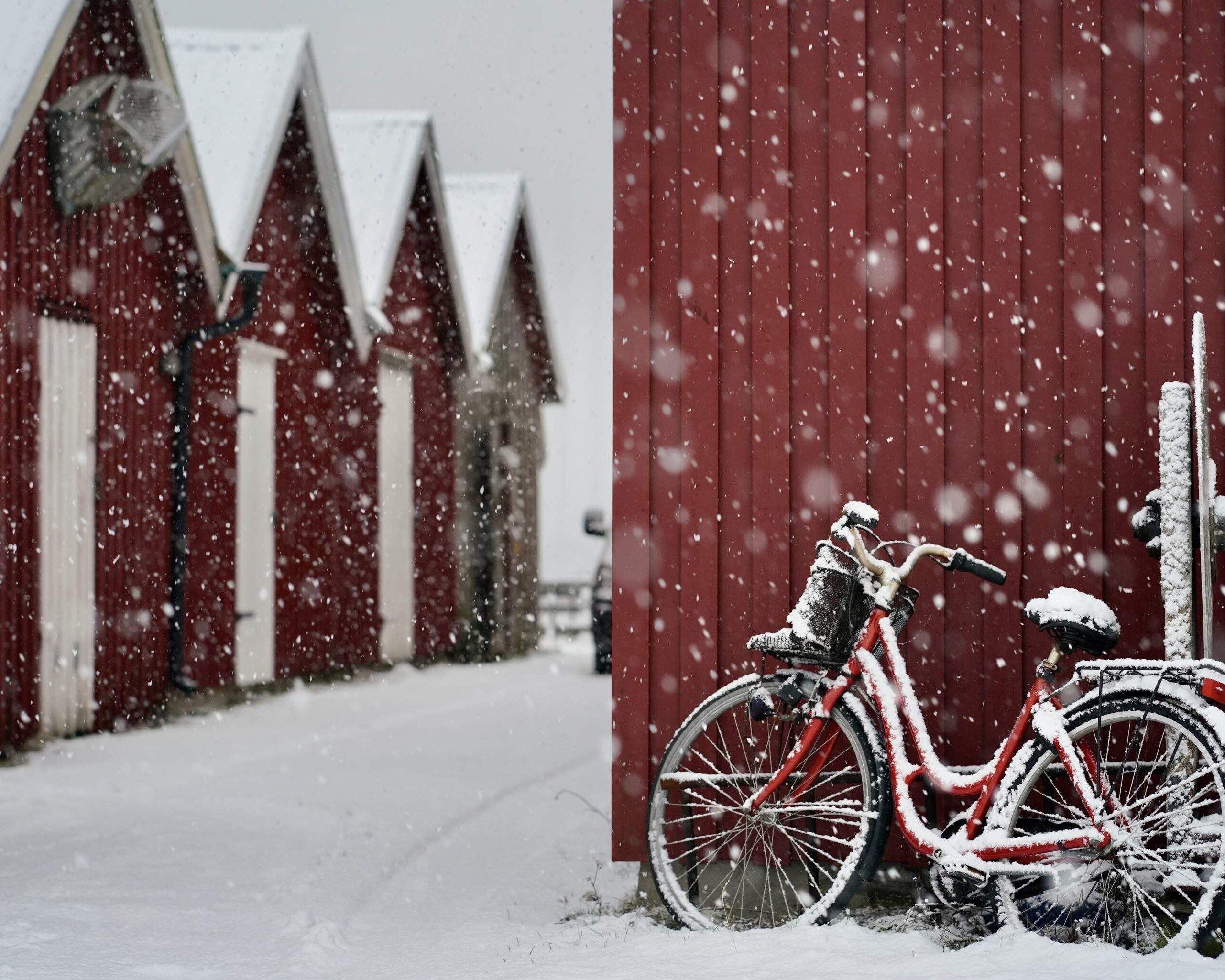 Vinter i Sverige 2024: 11 tips till din vintersemester | momondo