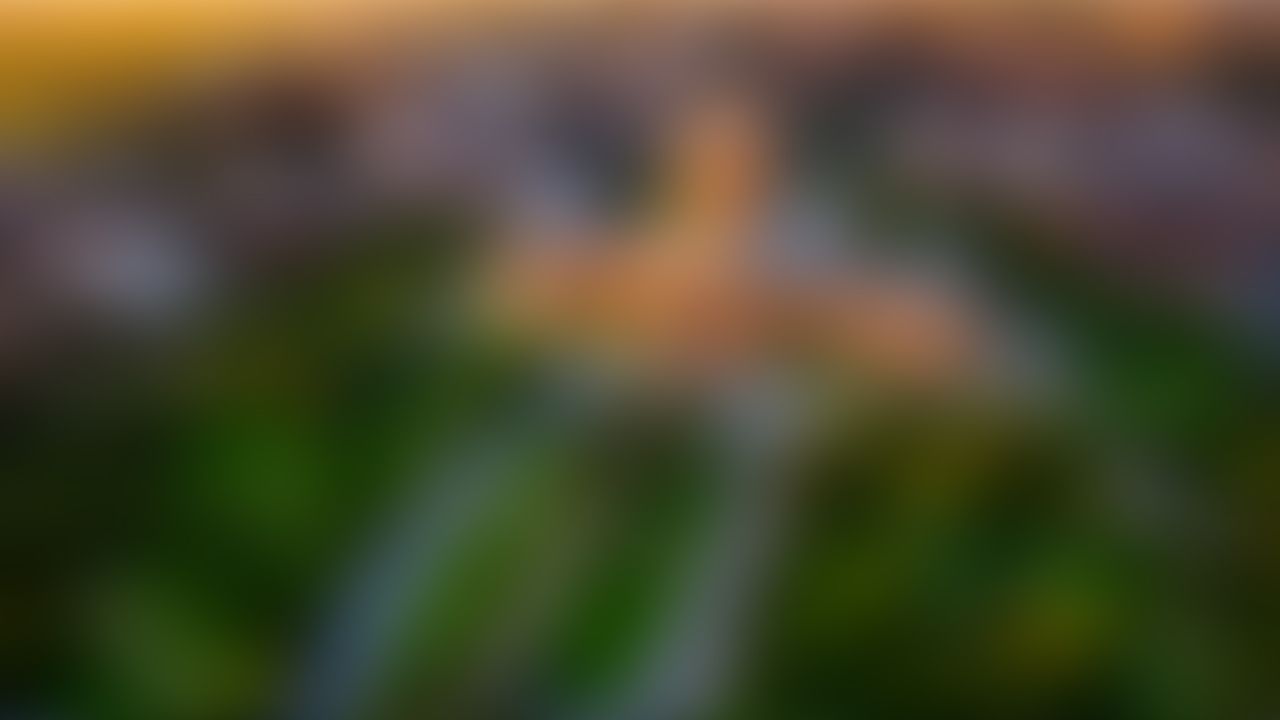 299 kr Billiga flyg från Sverige till Världen över 2025 | momondo